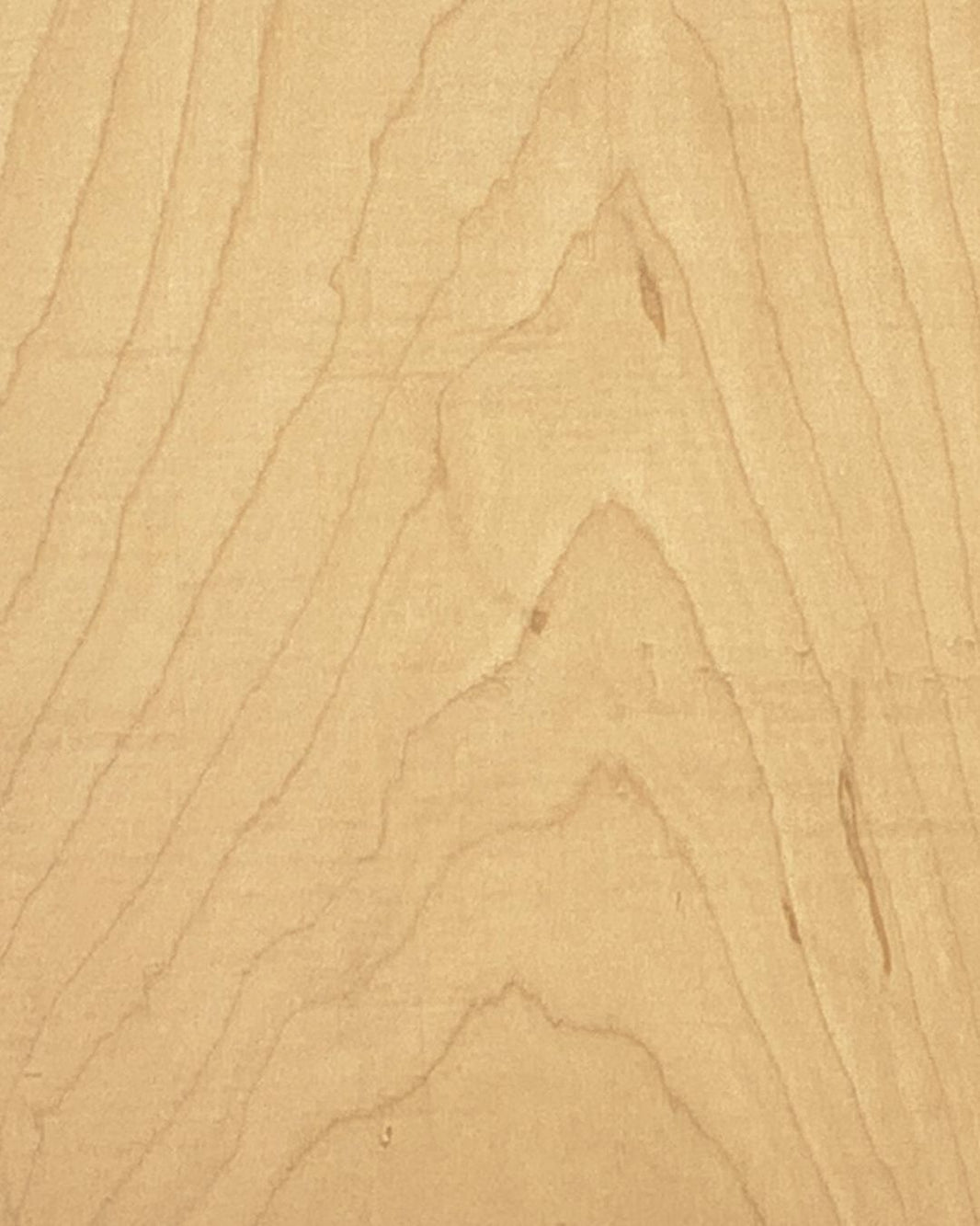 TIMBER – The Wood Depot