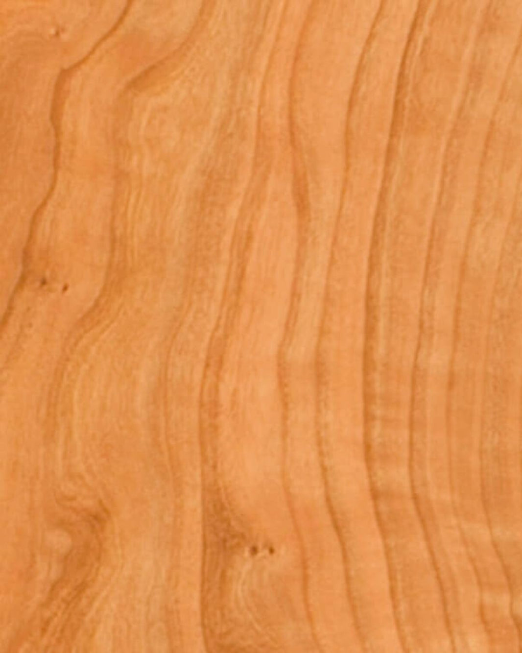 TIMBER – The Wood Depot